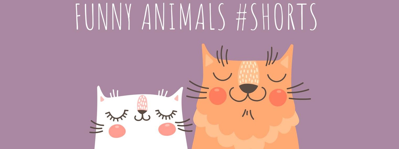 Funny Animals Shorts