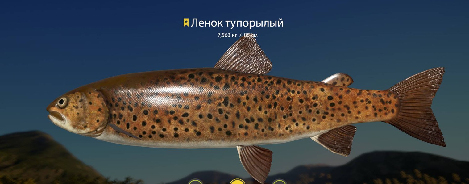 DmitryRussiaFishing4  (pp4)
