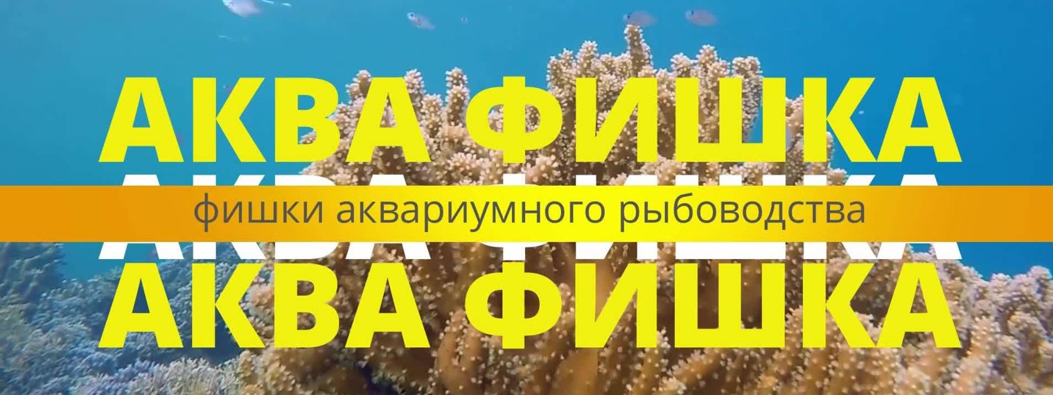 АКВА ФИШКА