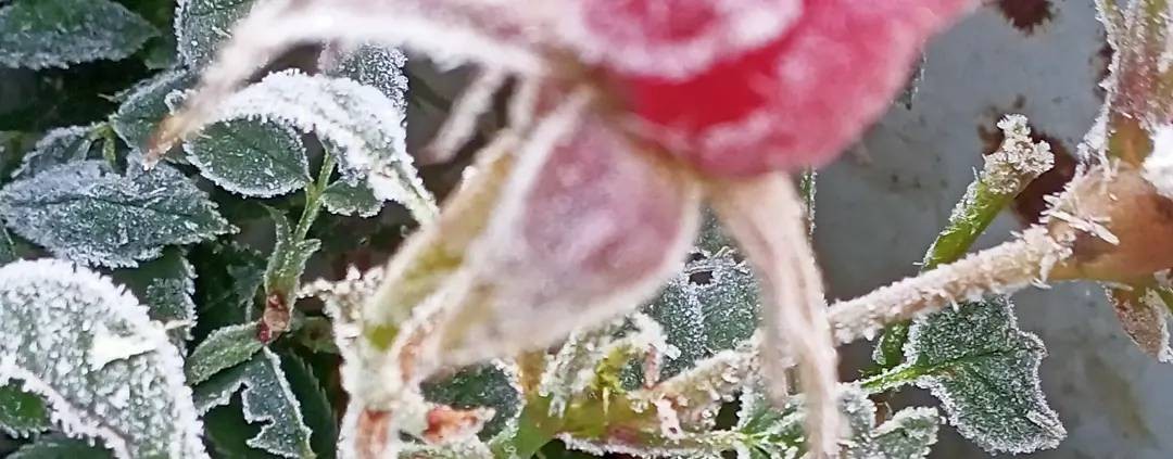 ТриДевятино Царство