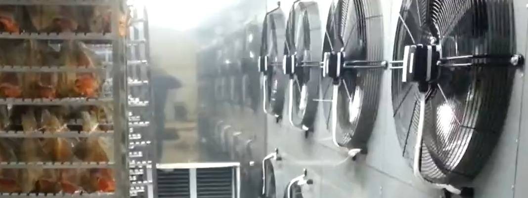 Роман Трухачев. Компания "Холод-Тепло"