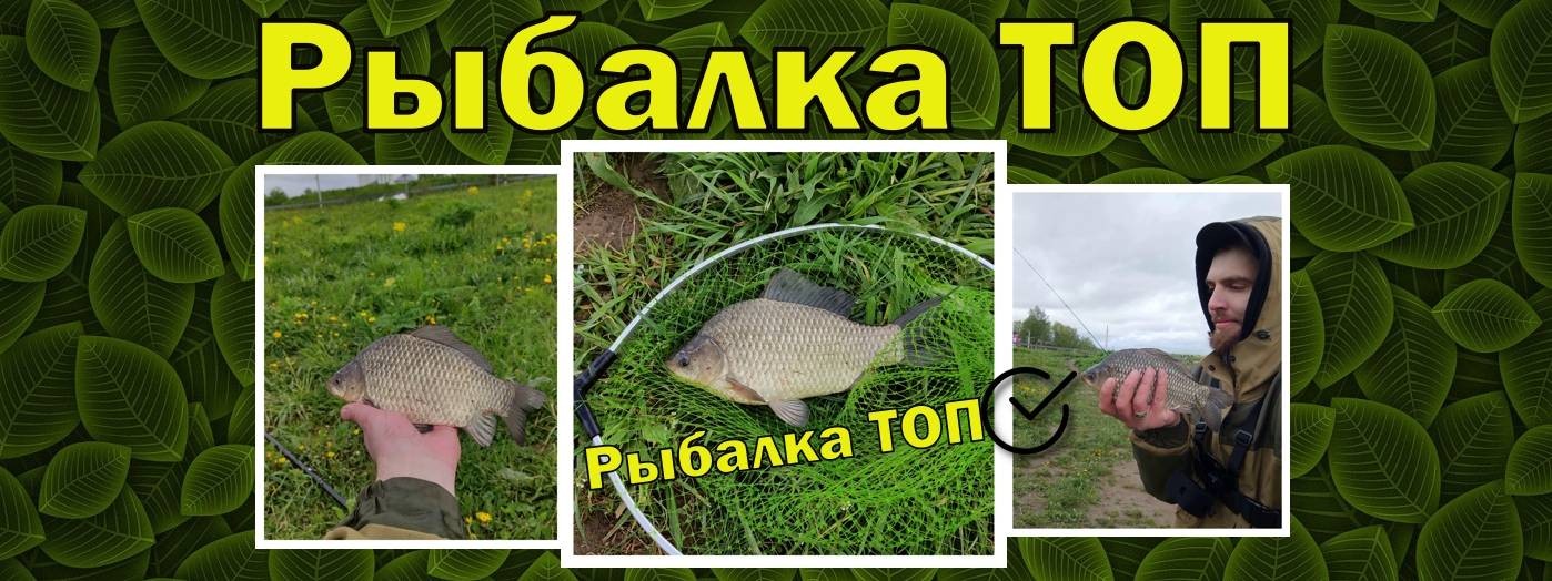 Рыбалка ТОП