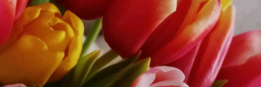 Елена Павловна