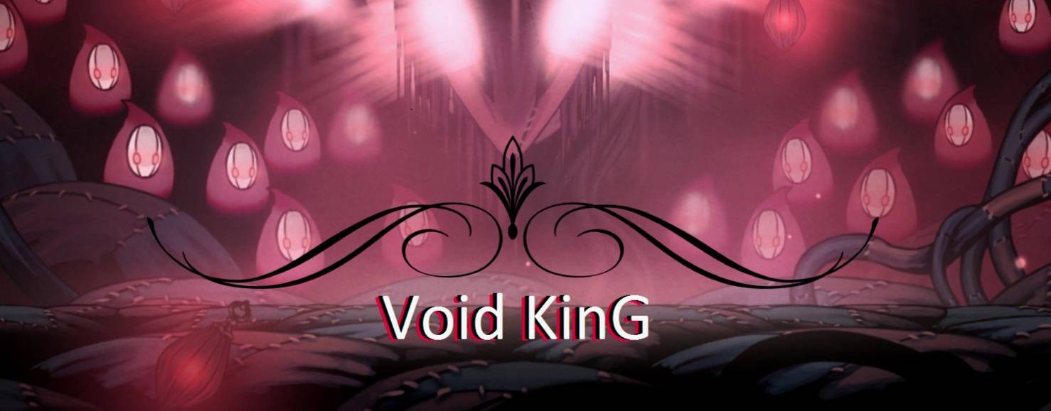Void KinG