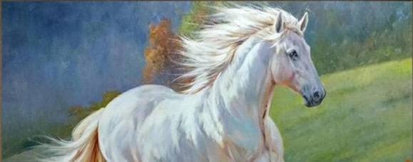 Домашние спортивные тренеровки на видео фитнес