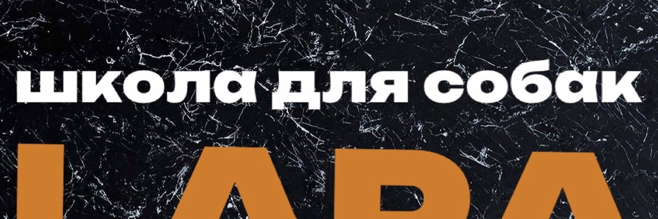 Школа для собак LAPA