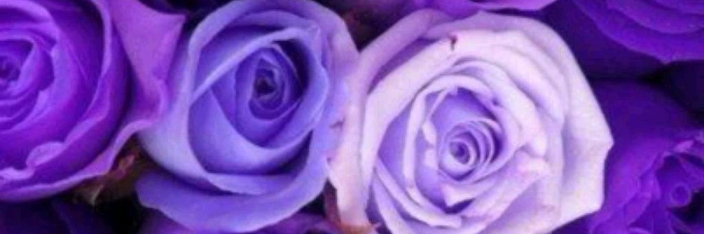 Истории Жизни