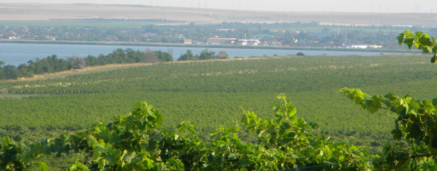 Владимир Радченко 60