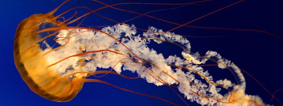 Просто Артём