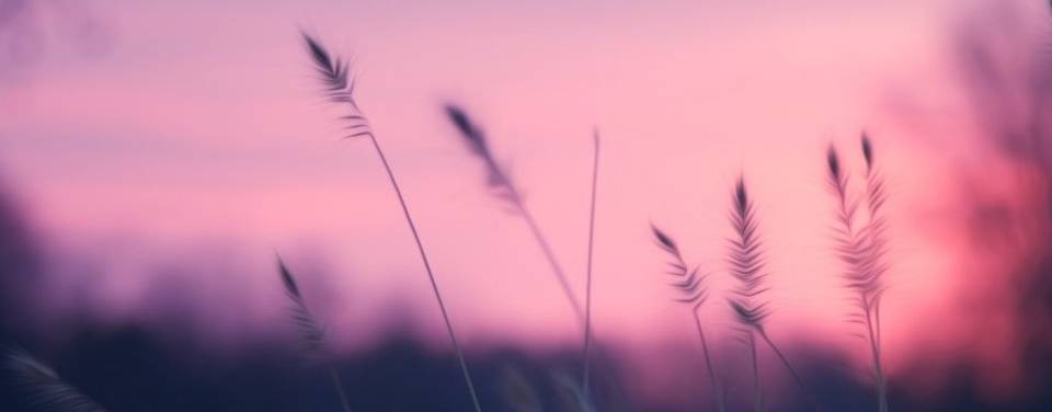 Иван Тодоров