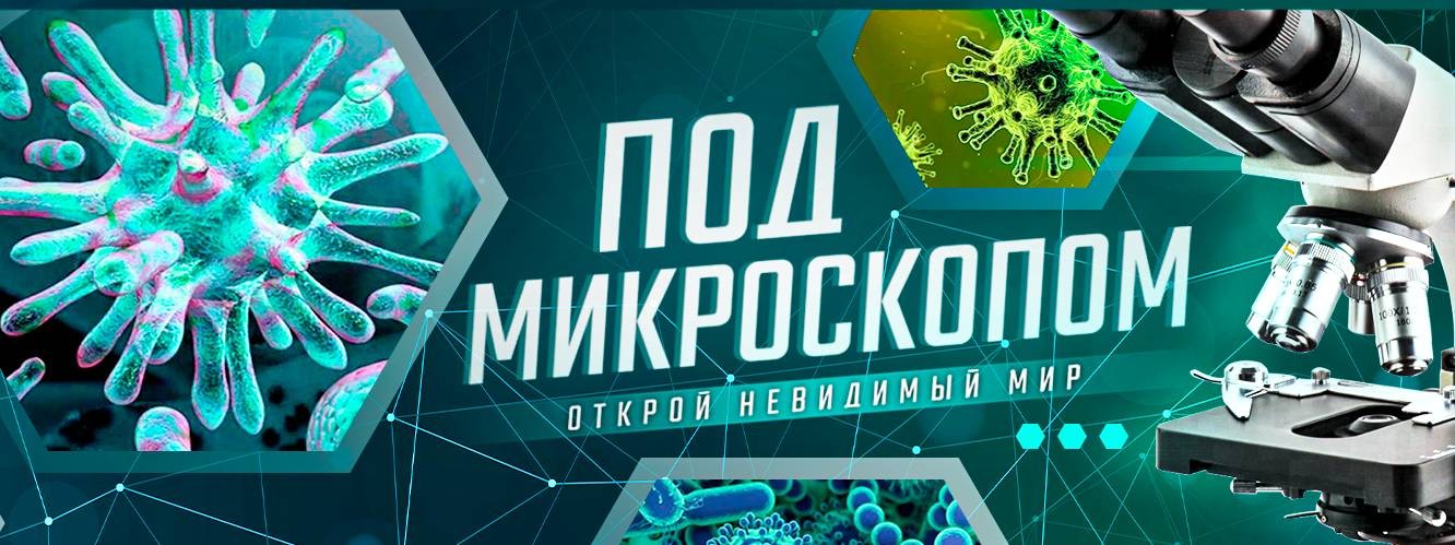 Под Микроскопом