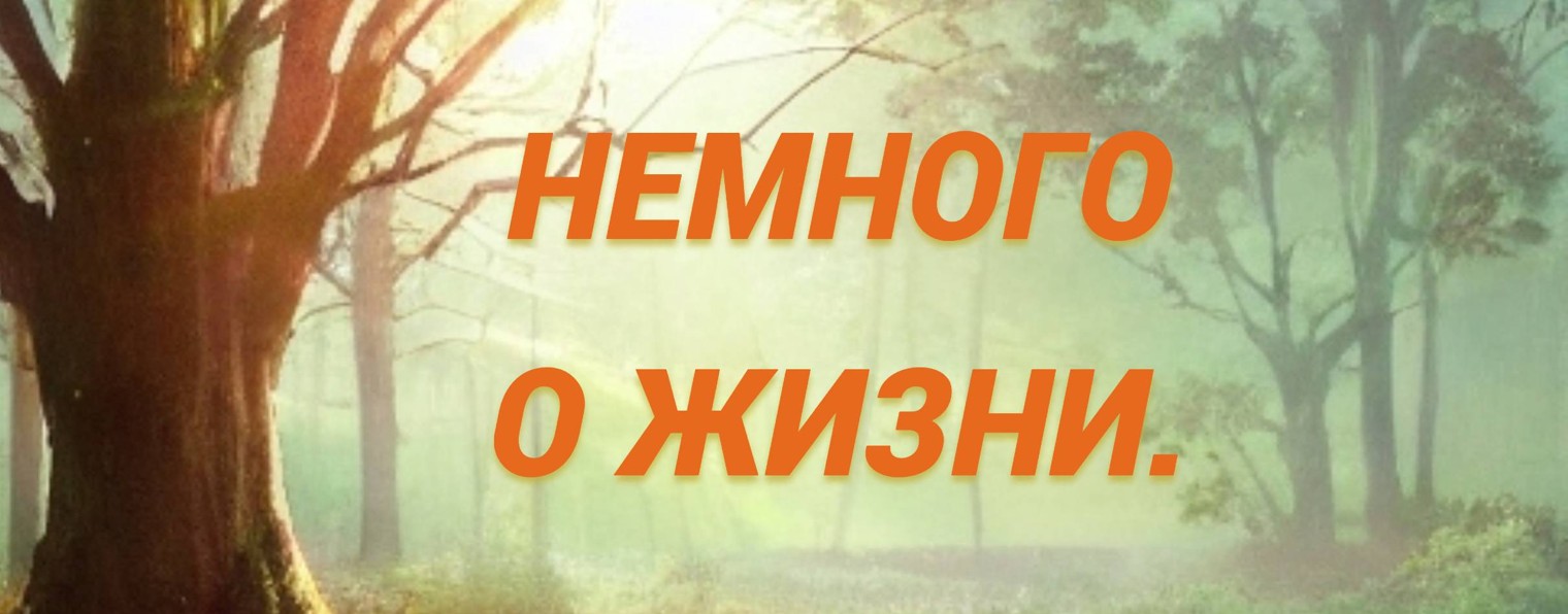 Немного о жизни