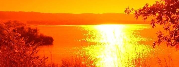 ЛЮБИМЫЕ ПЕСНИ