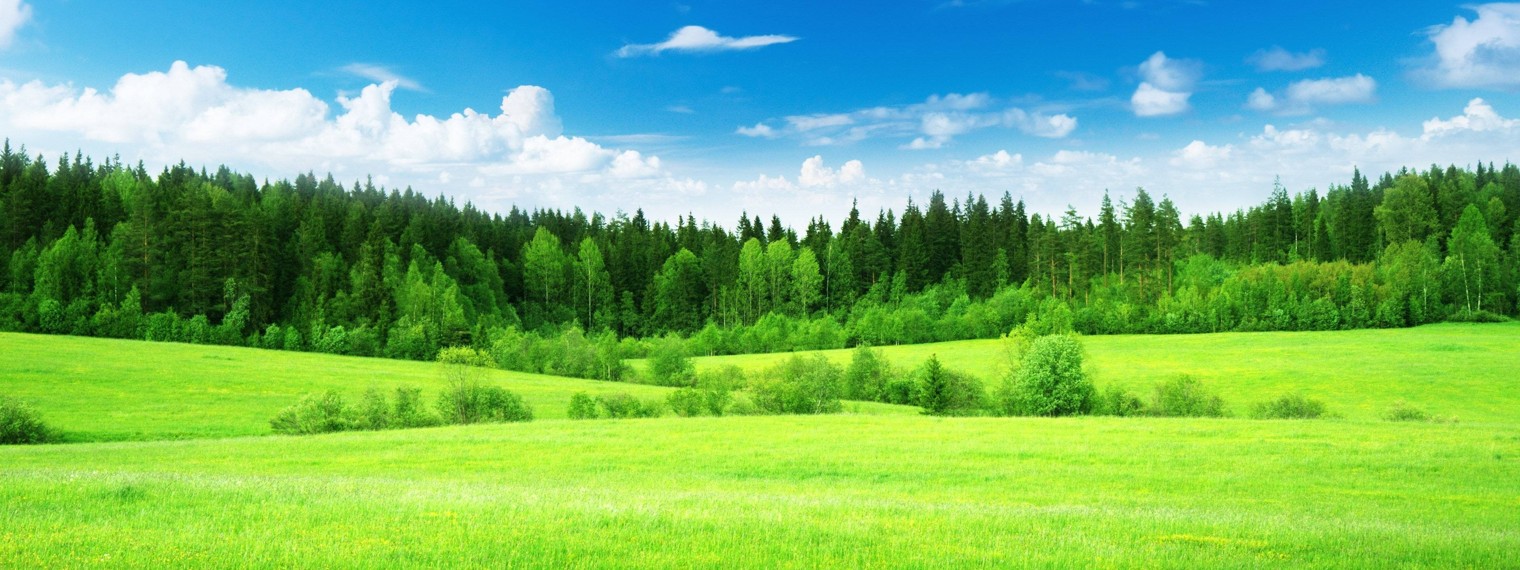 Поселковые заметки