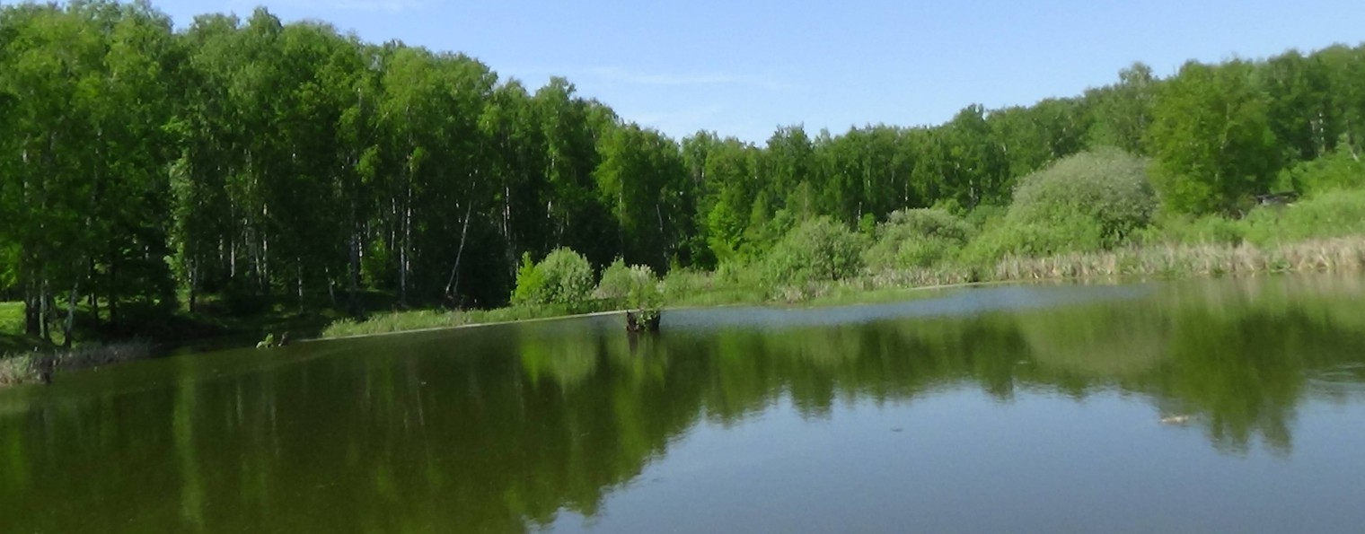 Игорь Туманов