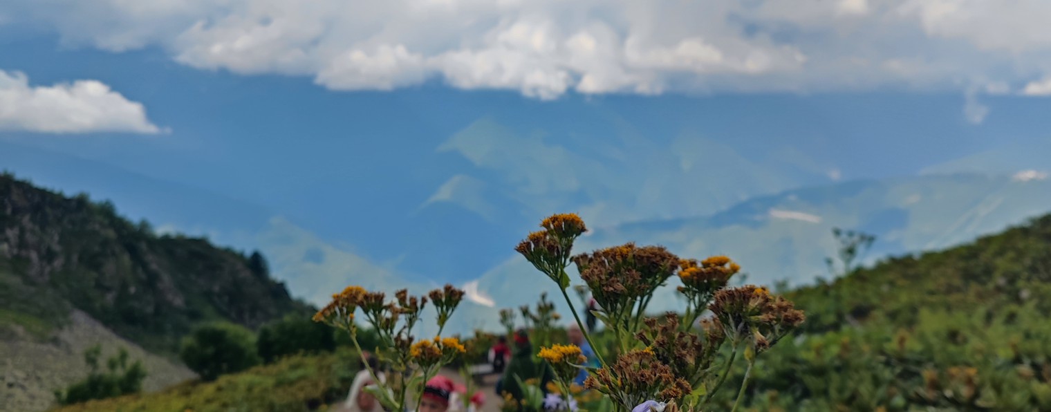 МАРГО - ЖИВУ ЖИЗНЬ 💃🏻🦩💖