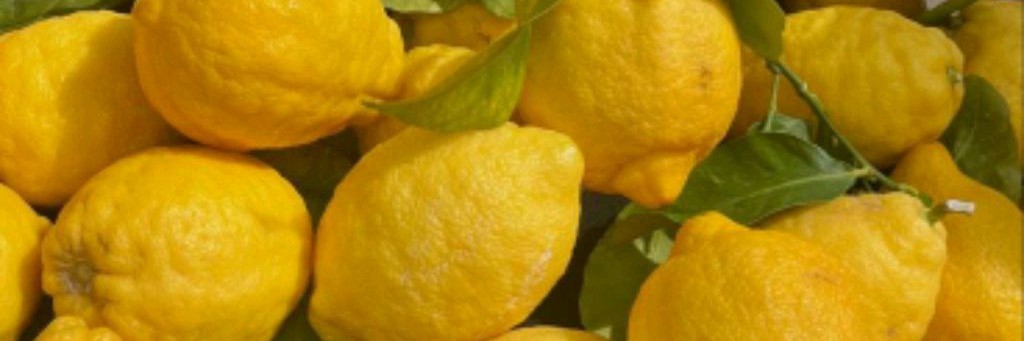 Клуб Домохозяек