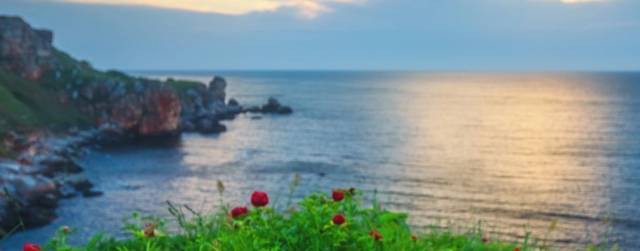 От души и для души. Елена Житникова