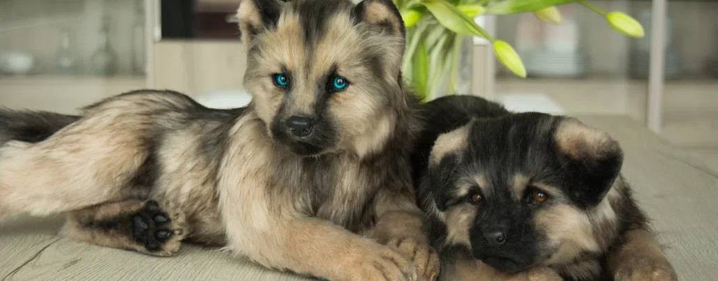 Екатерина Лейт