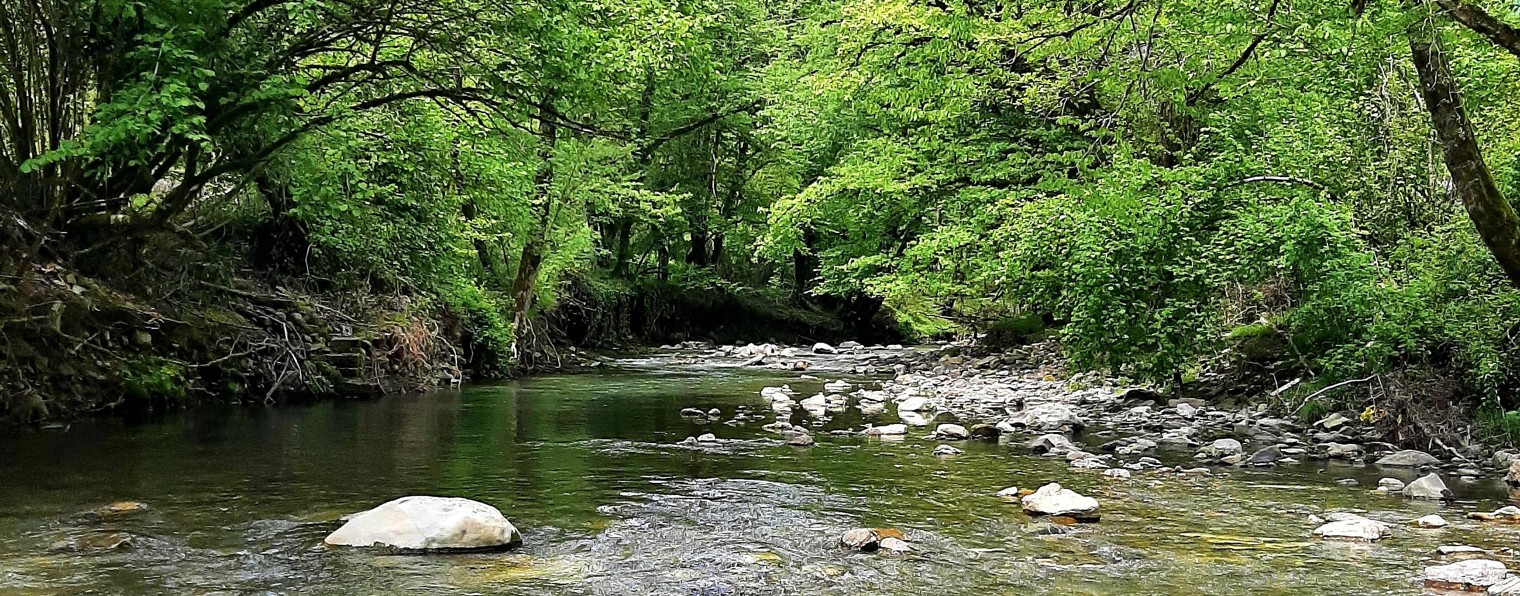 Рыбалка_Спиннинг