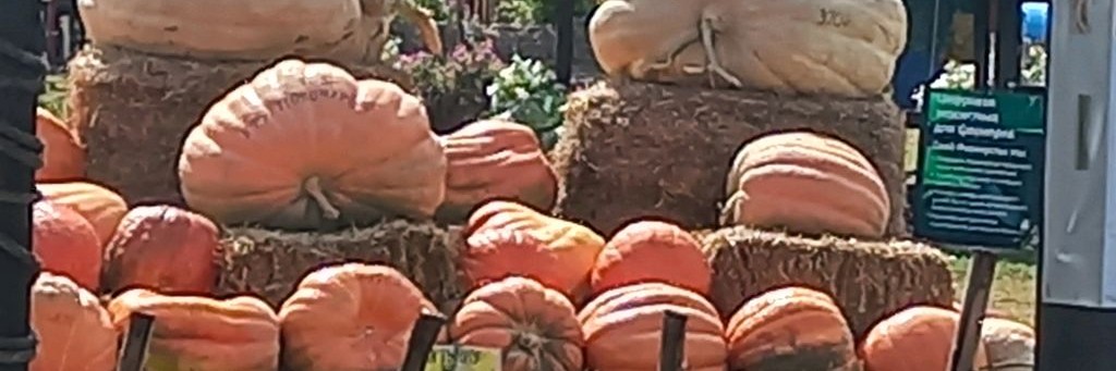 Домик 🛖 Рыбака Бориса