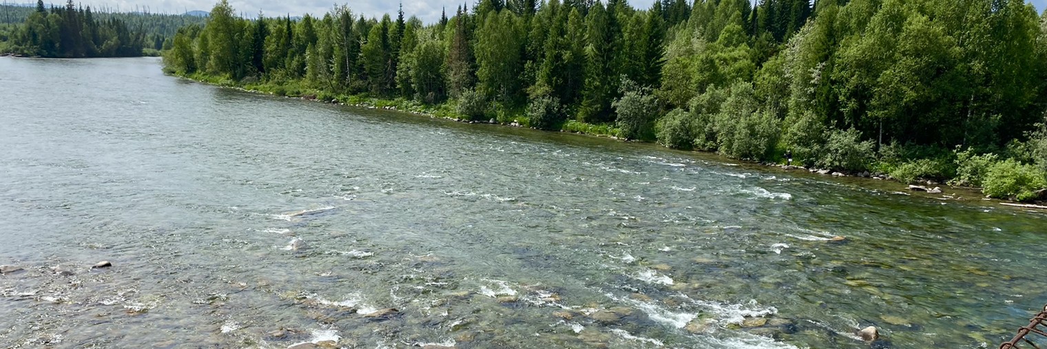 Живу в Сибири