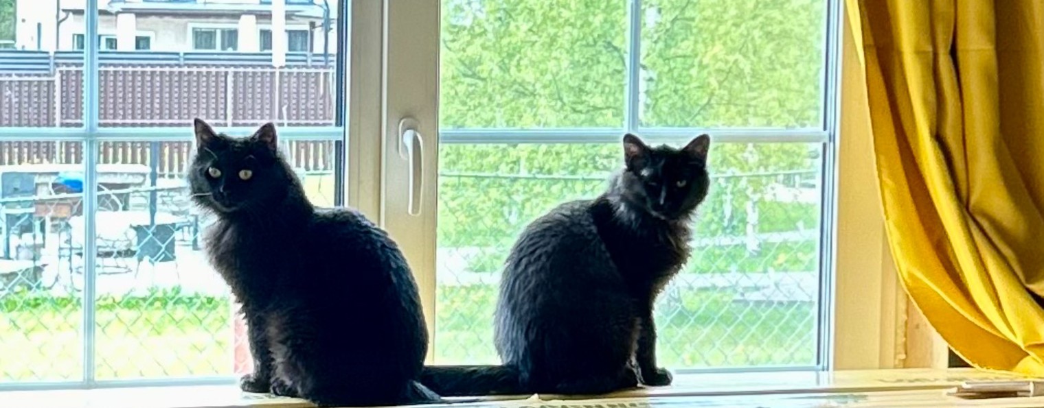 Реалити Дневник