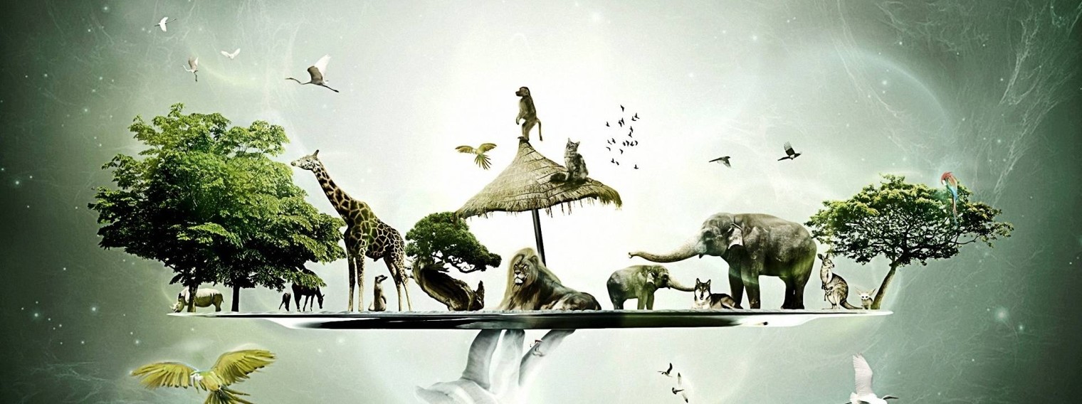 ЖИЗНЕННЫЙ ЦИКЛ