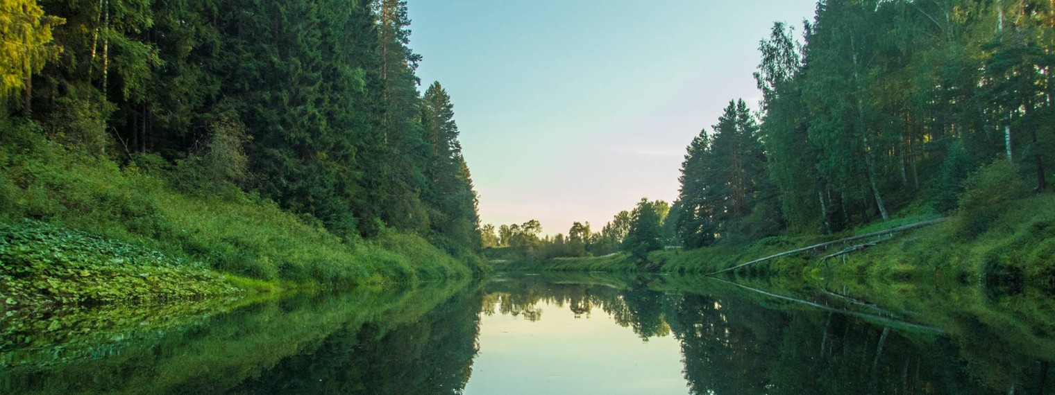 Анатолий Назаров
