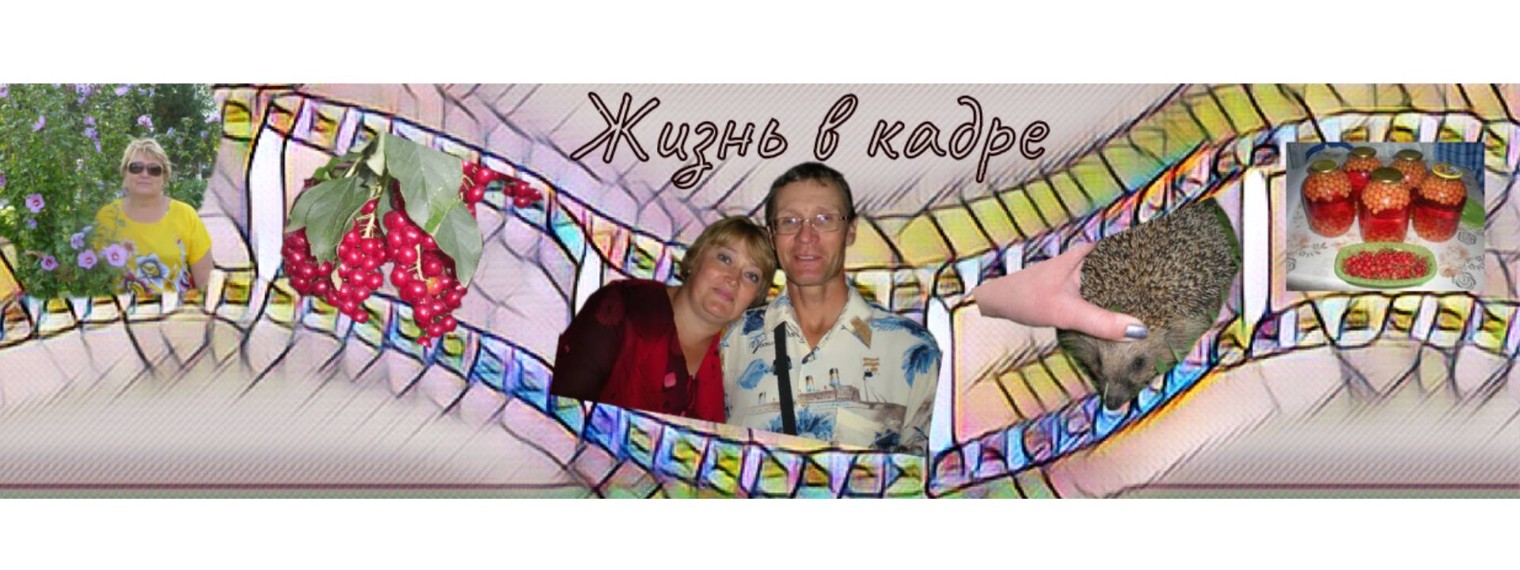 Жизнь в кадре