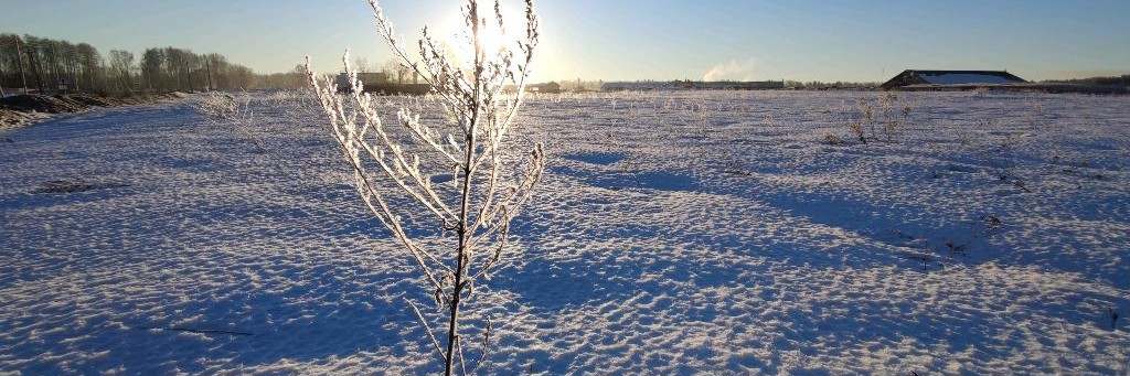 Владимир Викторович Скрылев