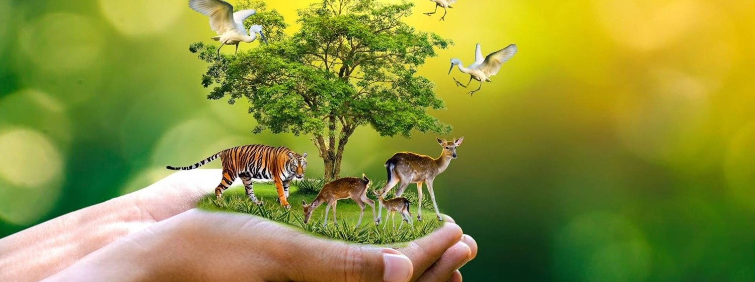 Живая природа R