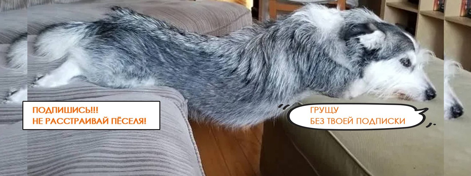 Смешное про животных 😹 - котов, собак и не только