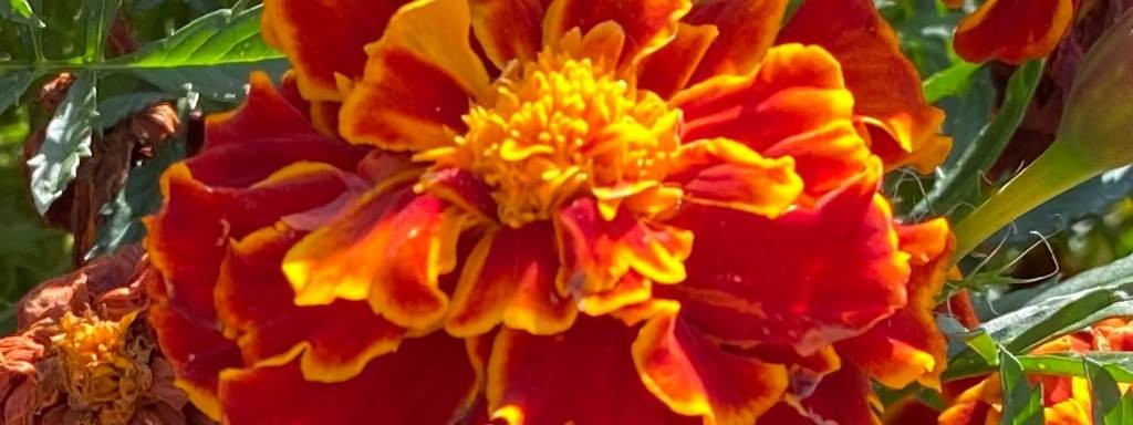 Olga творческие зарисовки