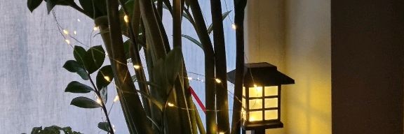 увлечения и хобби