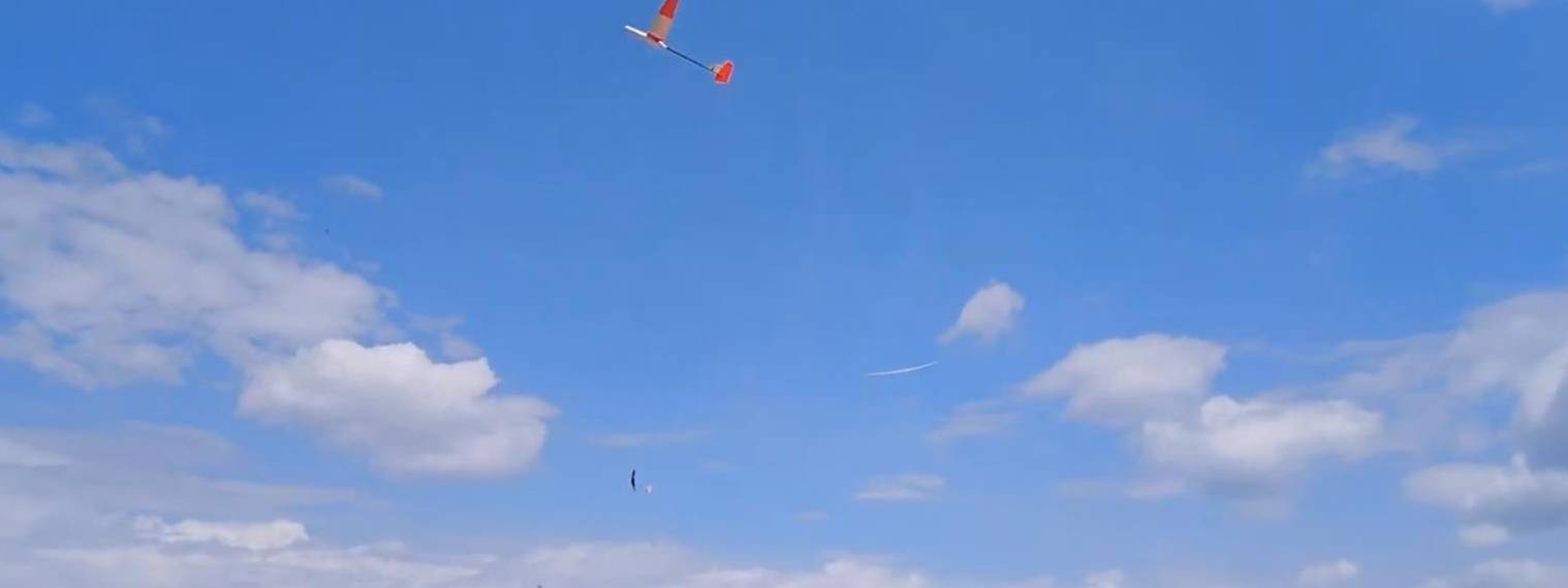 Роман Лебедев