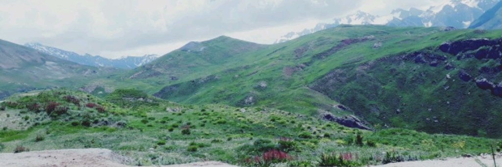 Из ТАДЖИКИСТАНА