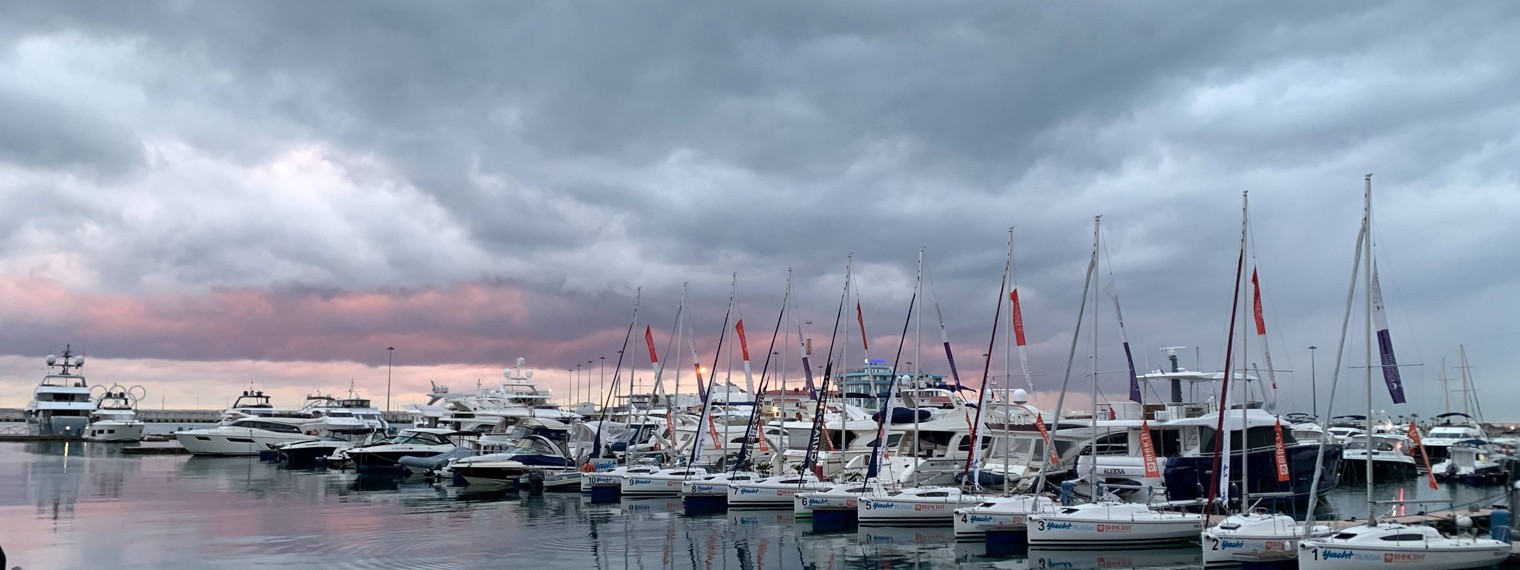 Елена Мотриченко