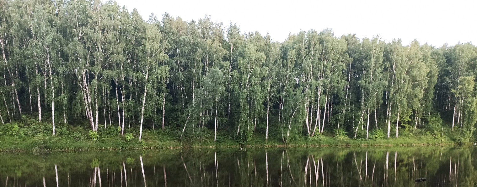 LUGOVOE - НашеМестоСилы