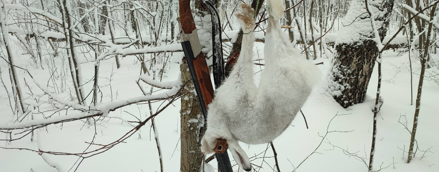 Алексей Богданов