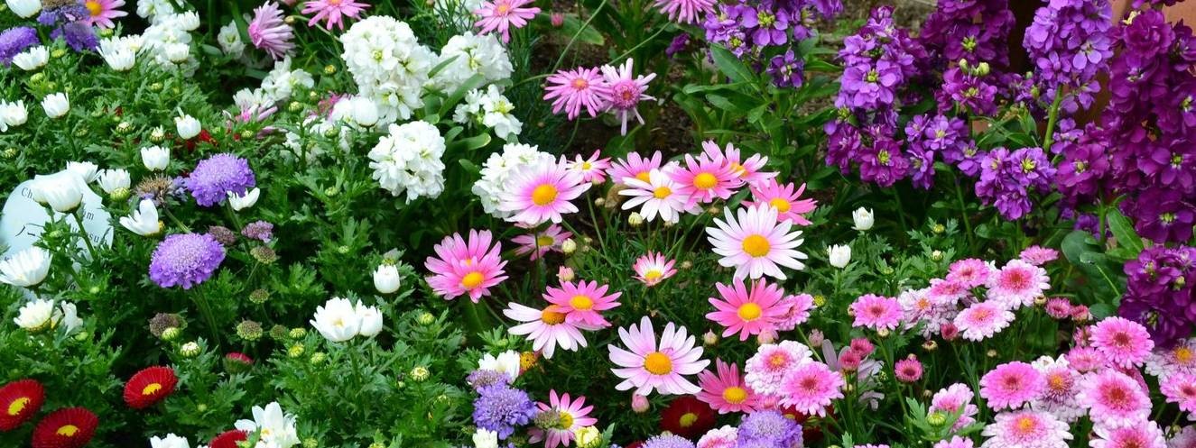 Сад.Огород.Совет