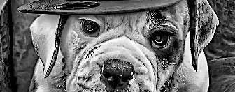 Все про все