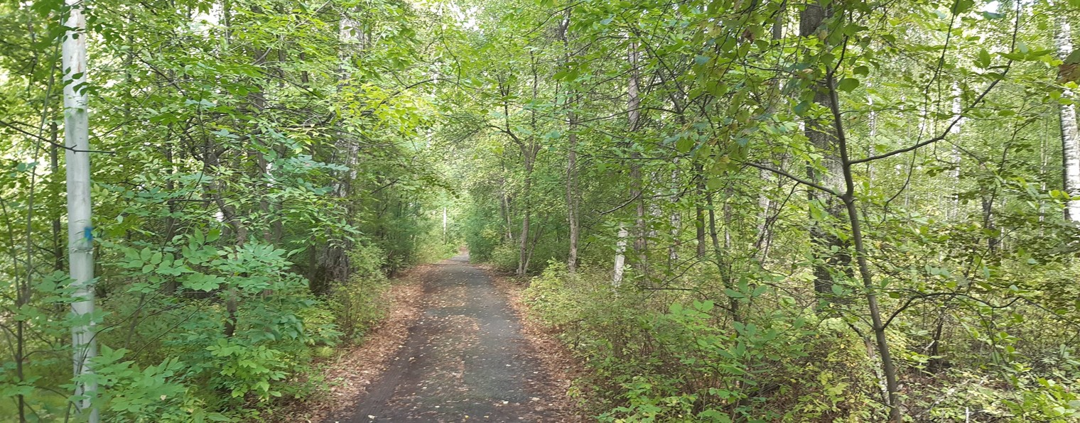 АЛЕКСАНДР  КИРИЛЛОВ