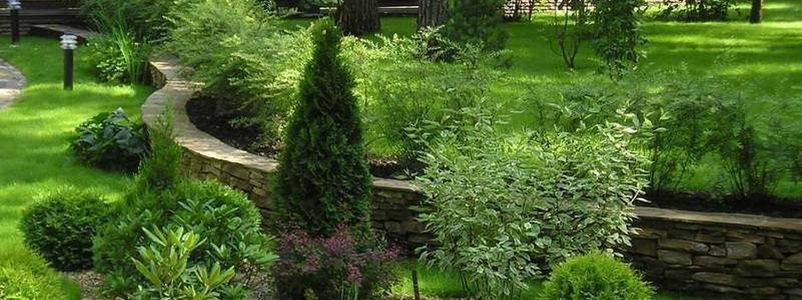 Nika - Инна Николаева