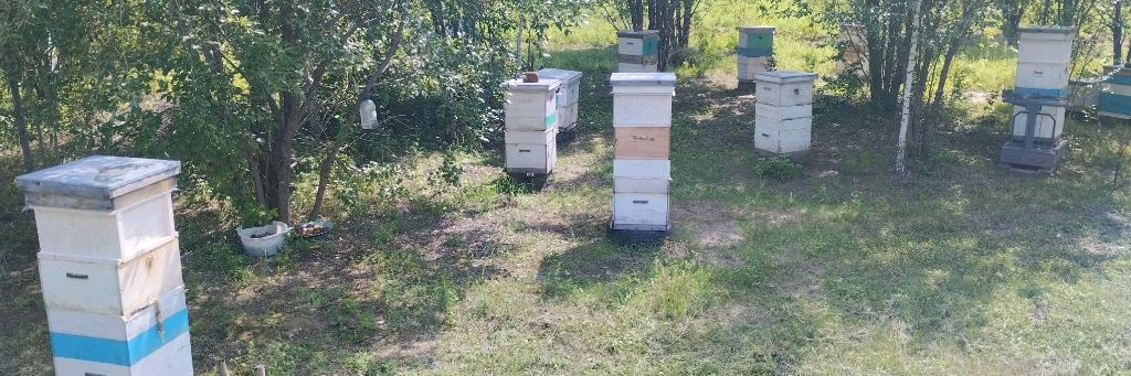 ЭКО Пасека Дмитрия Нижегородова.