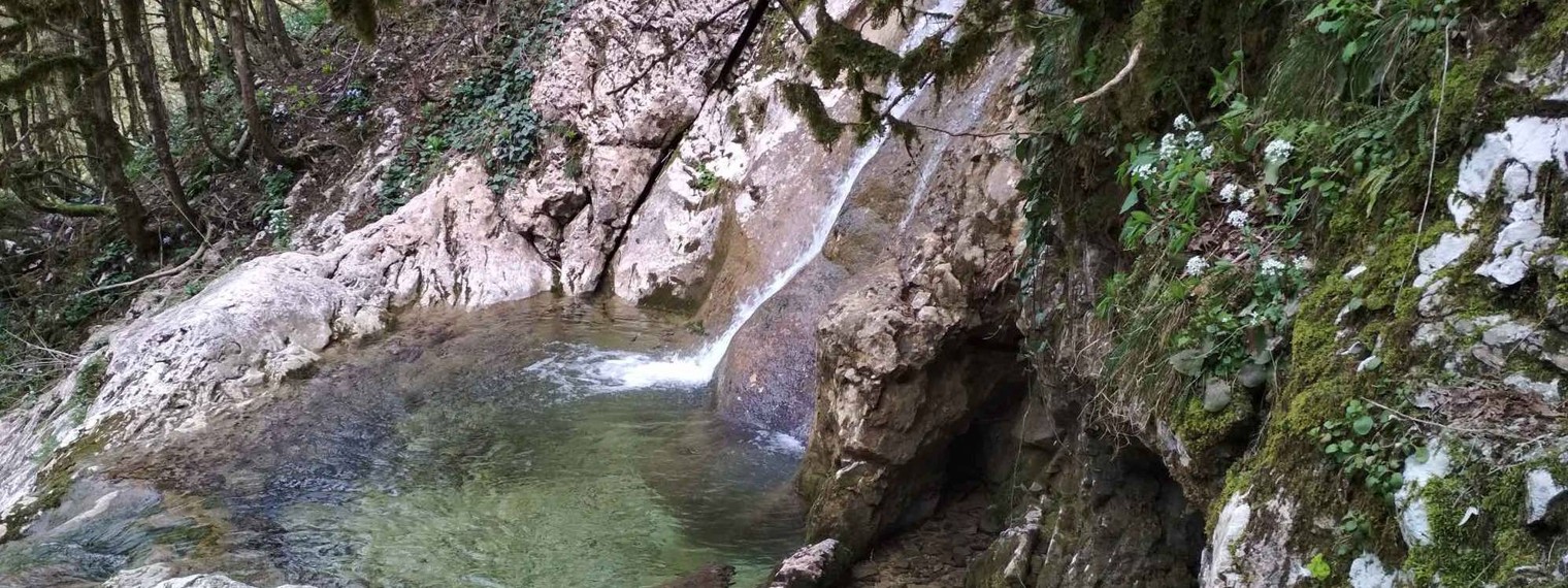 Барановская Евгения