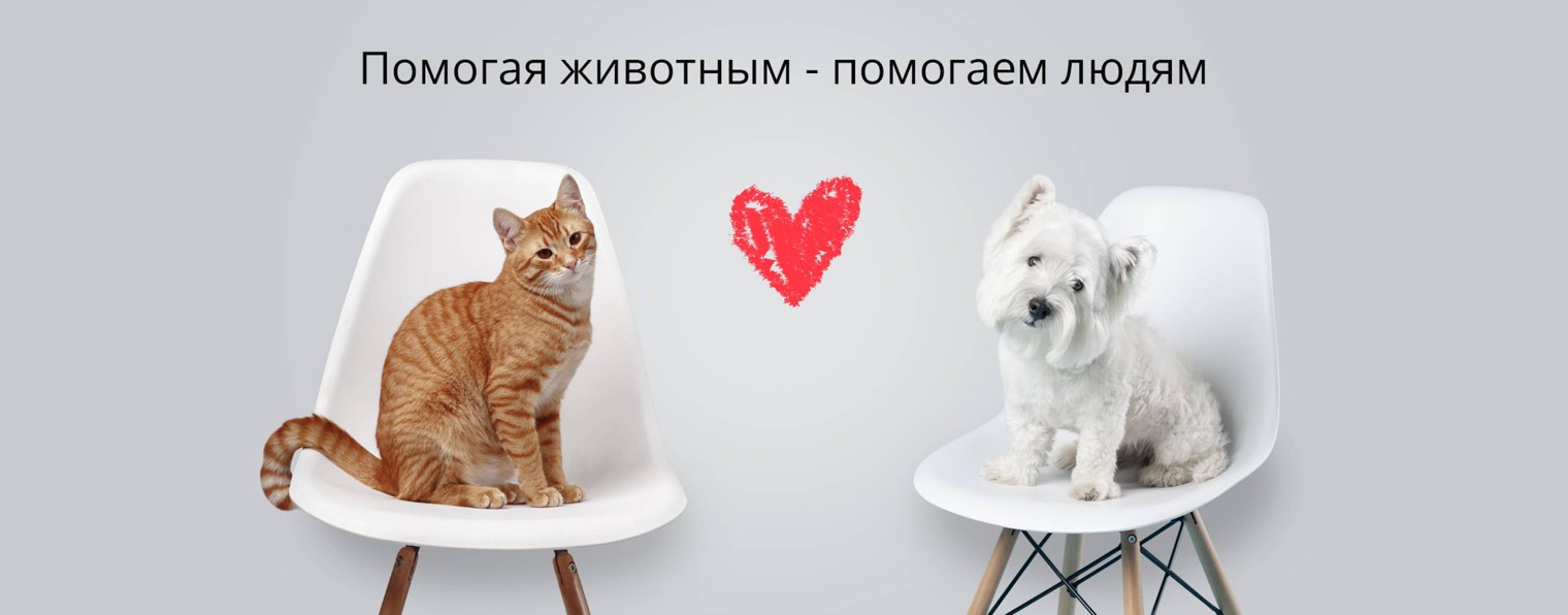 Апиценна Ветеринарная Фармацевтика