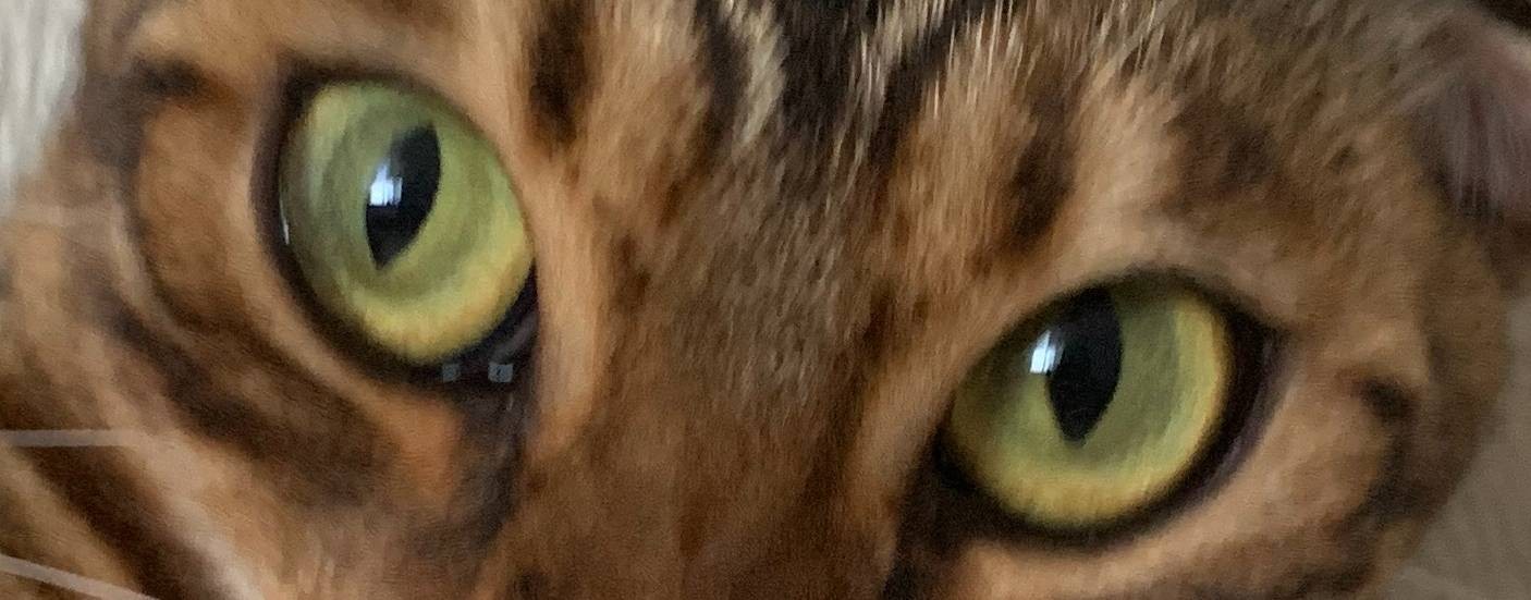 Доби-Луна-Софа