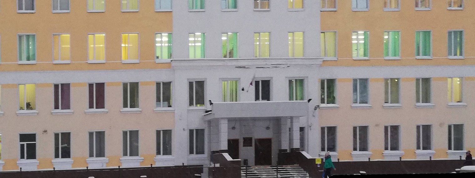 ТМК ОУ "Дудинская средняя школа №1"