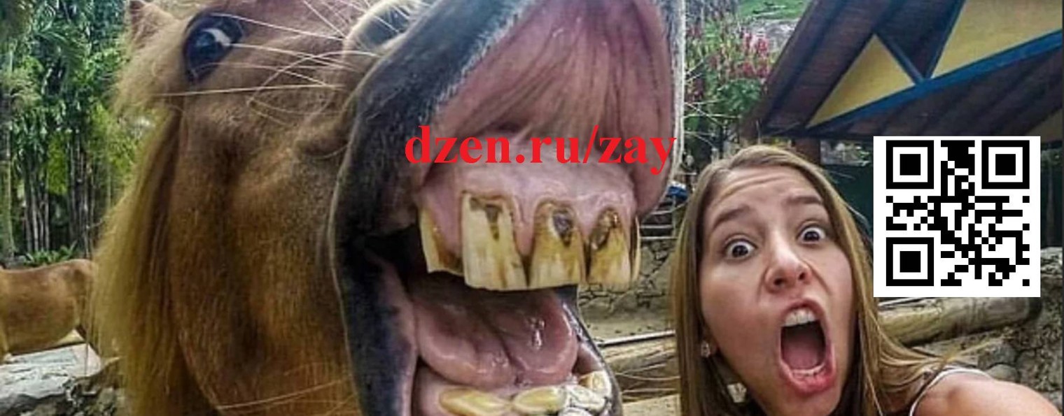 Нейро сетка